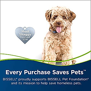 Bissell Turboclean Powerbrush Pet Upright Carpet Cleaner Machine and Carpet Shampooer, 2085