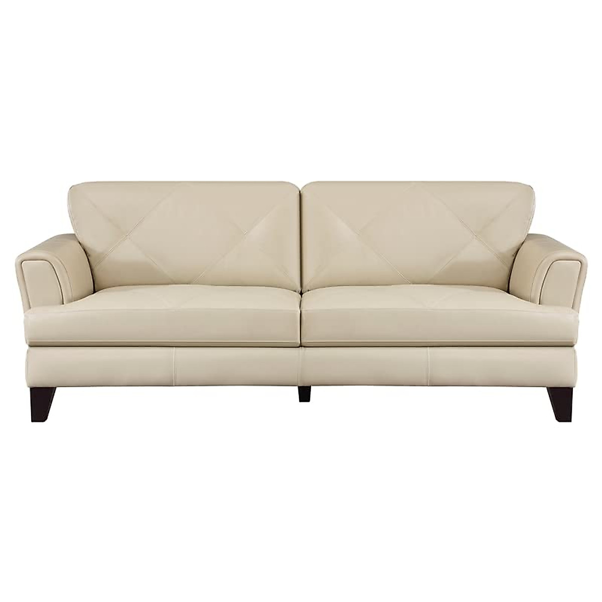 Lexicon Thierry 19" Modern Plywood and Leather Sofa in Cream Finish