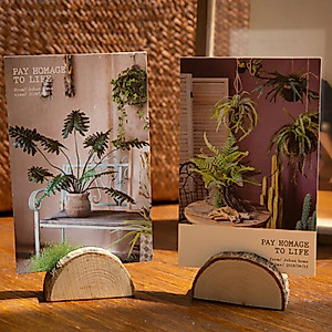 Tosnail 50 Pack Rustic Wooden Place Card Holders with 50 Kraft Paper Cards, Table Number Holders, Small Photo Holder, Name Card Stand for Wedding, Party Decorations - Half Circle