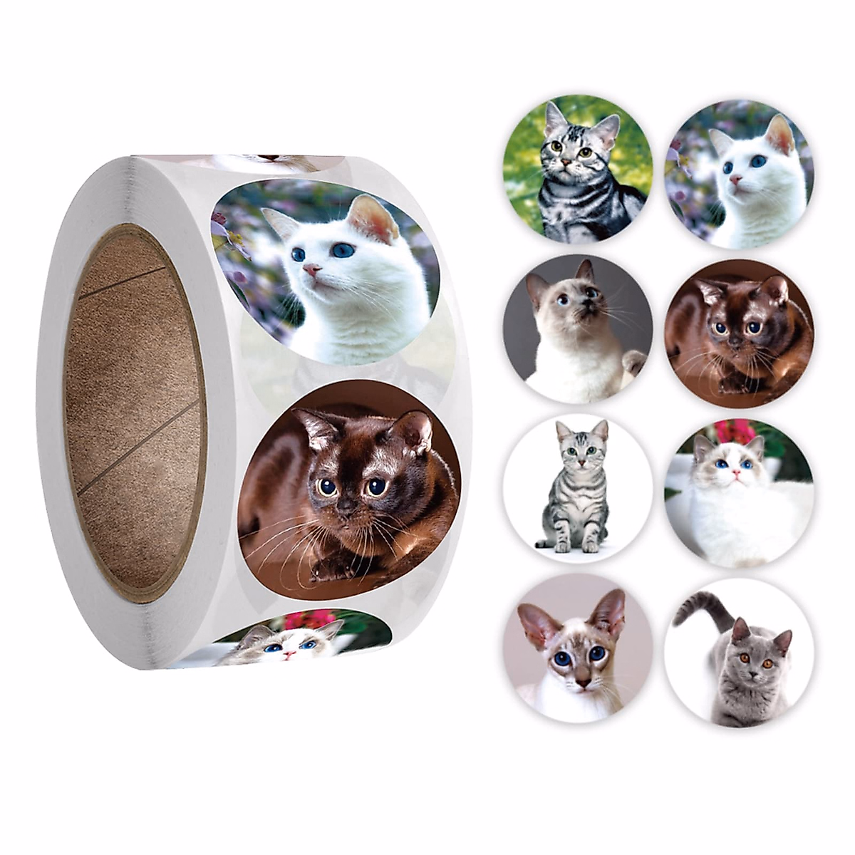 1000 Pieces Mini Cute Cat Stickers for Kids Reward Stickers Sealing Stickers in 16 Designs (1 Inch Diameter)