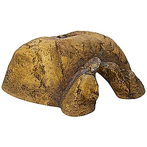 Exo Terra 0015561229319 1 Reptile Cave - Medium, Multicolor