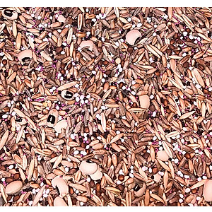 No-Till Cover Crop 10 Seed Mix - Winter Rye, White Clover, Austrian Winter Peas, Triticale, Crimson Clover, Cow Peas, Daikon Radish, Purple Turnips, Wheat, Oats, (25 Pounds)