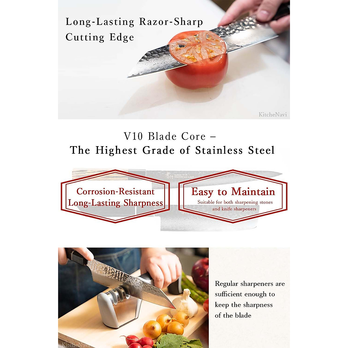 Sakai Takayuki 【The knife brand favored by Japanese chefs】 Senkoku Damascus Chef Knife Gyuto Japanese Knife 8 inch (MPN S21002)