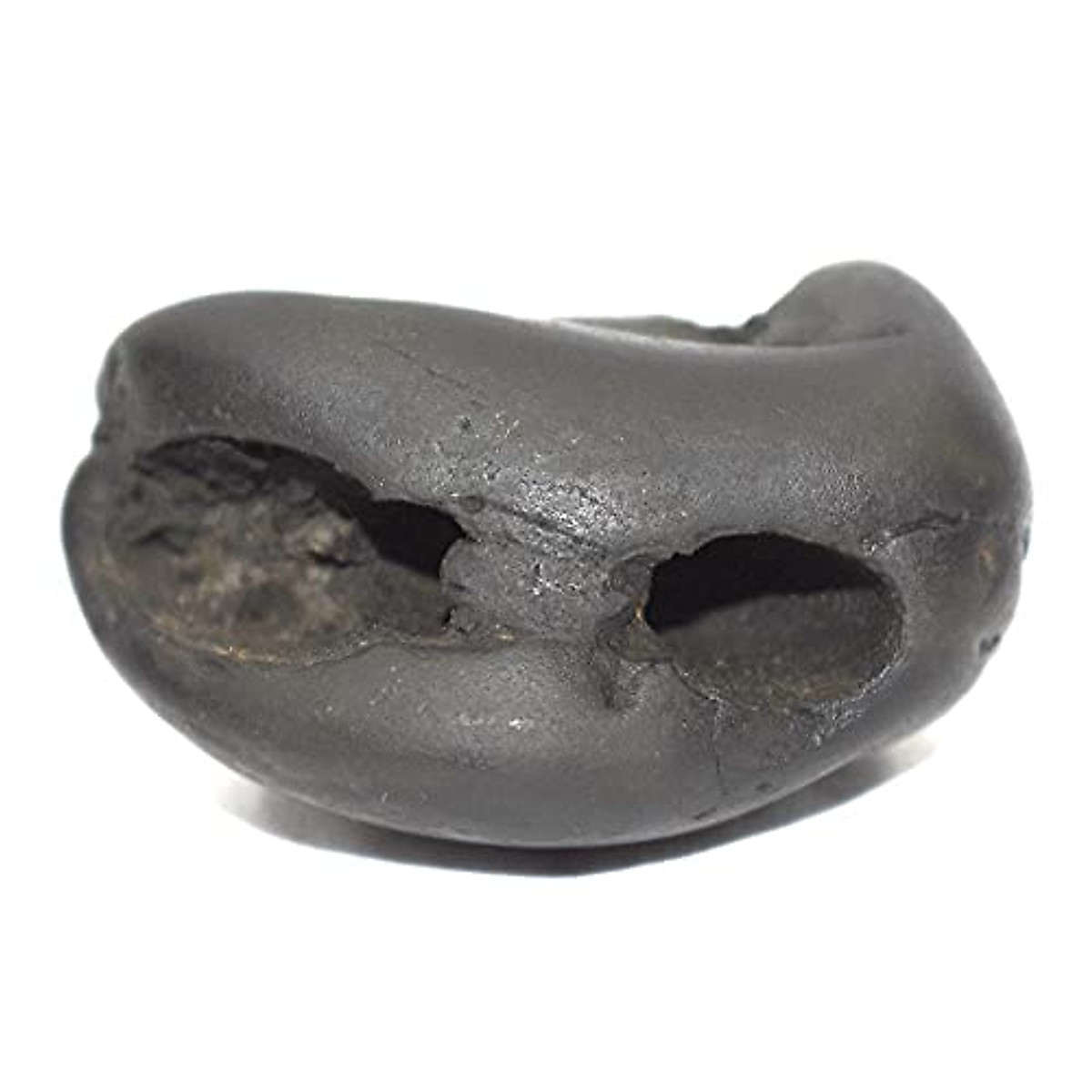 Rudrakshguru TriVikrama Shaligram - Gandaki River Nepal
