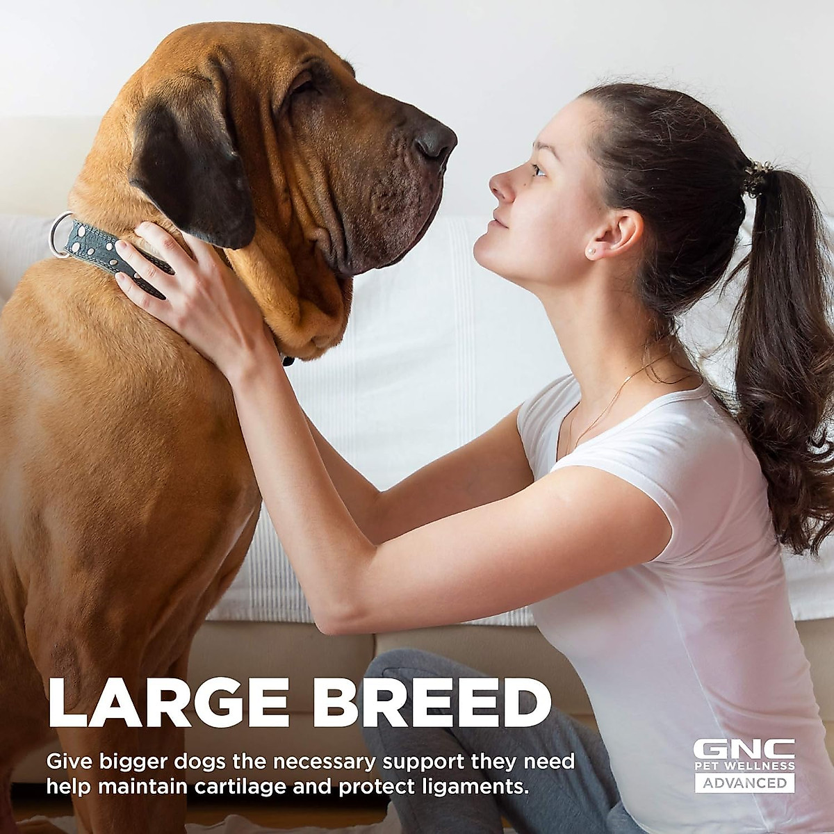 Hip and Joint Supplement for Dogs - Glucosamine for Dog Joint Supplement - with Chondroitin, MSM, Vitamins C and E for Dog Joint Relief - Mobility Bites Bacon – 120 Count