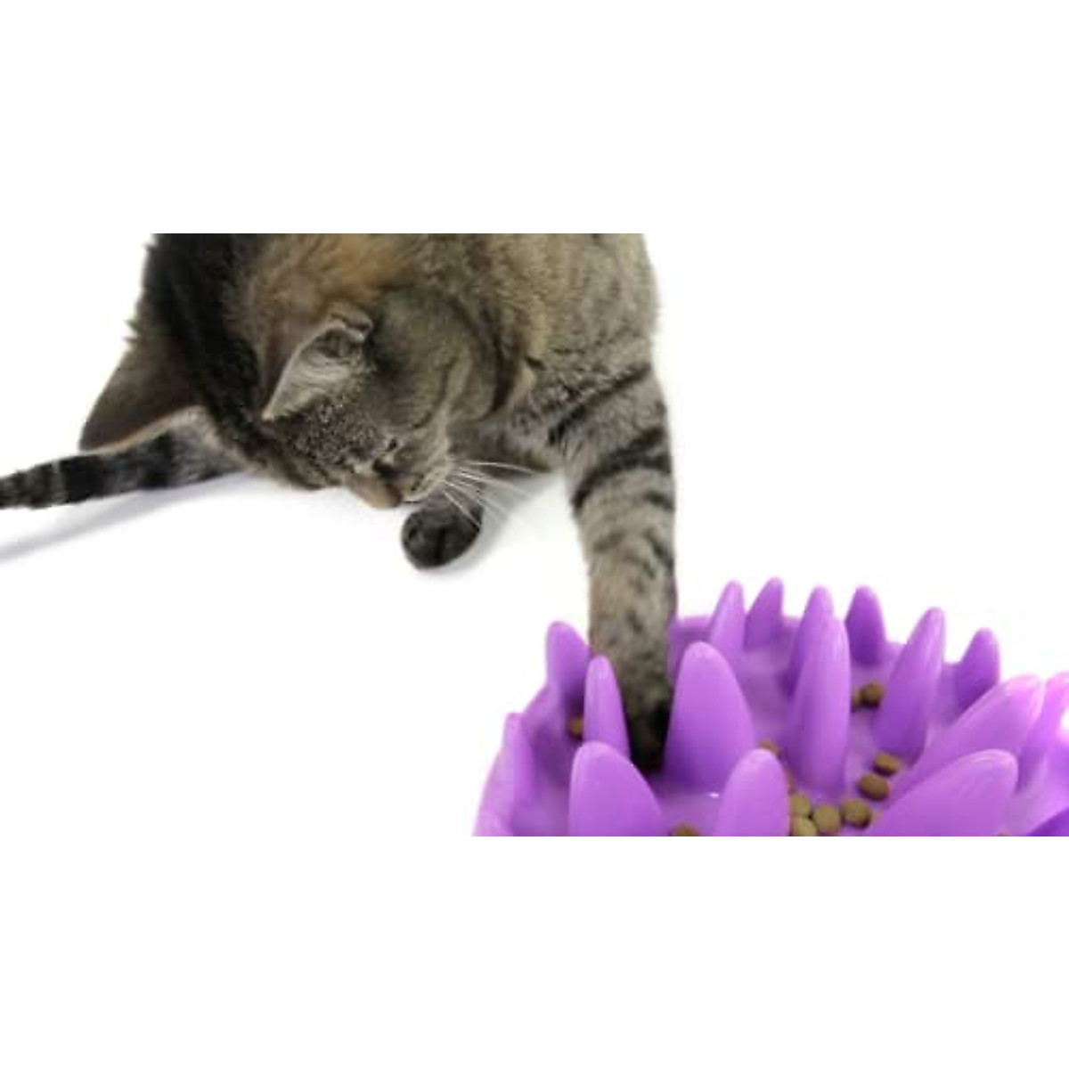 The Company of Animals CATCH Interactive Feeder, Purple