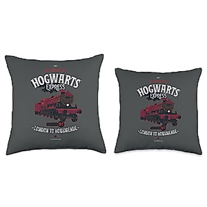 Harry Potter Hogwarts Express All Aboard Throw Pillow, 16x16, Multicolor
