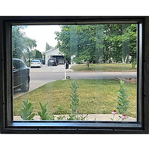 CollidEscape Spiderweb Clear Bird Tape for Windows (3/4" x 40' - Covers 2 to 3 Windows) | Window Decals to Prevent Bird Strike Prevention for Windows | Clear