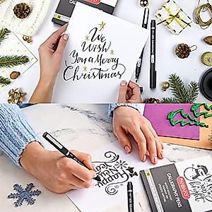 PANDAFLY Calligraphy Pens, 10 Size Calligraphy Pens for Writing, Brush Pens Calligraphy Set for Beginners, Hand Lettering Pens, Brush Markers Set, Black Ink Drawing Pens