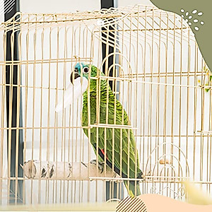 LEIFIDE 30 Packs Cuttlebone, Cuddle Bones for Birds 3.1-3.9 Inches Large Cuttlefish Bone Chew Toy Bird Bites Calcium Stone for Pets Reptile Tortoise Turtles Parakeet Cockatiels Reptiles and Snails