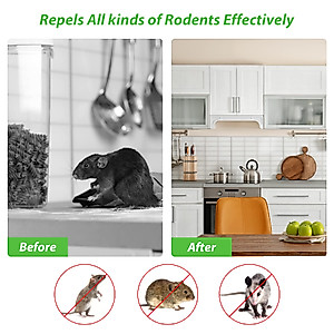 Homsor Rodent Repellent 20 Pack Natural Peppermint Oil Mouse Repellent Balls Pet Safe Mice Deterrent to Keep Rat Mice Mouse Rodent Out of Indoor House Outdoor Car Engines RV Garage Chicken Coop