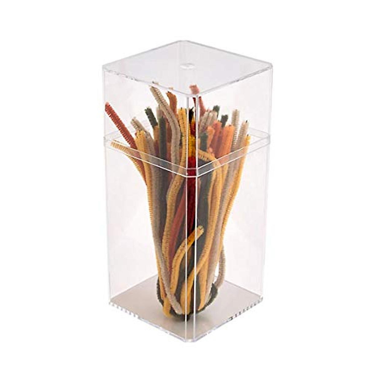 Pioneer Plastics 048C Clear Large Tall Rectangular Plastic Container, 3.75" W x 3.75" D x 8.25" H