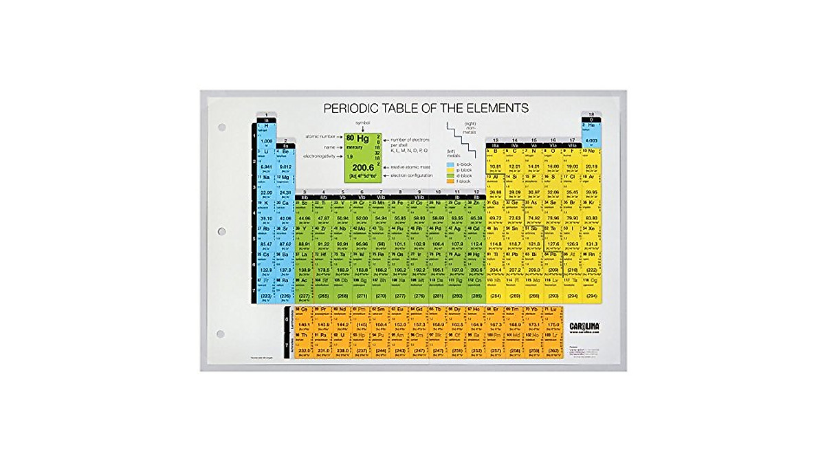 Carolina Infographic Periodic Table for Science Students