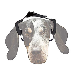 Black Webbing Dog EarLiifter (Medium)