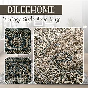 BILEEHOME Brown Rug for Living Room 8x10 Washable Organic Rustic Western Area Rugs for Cabin,Brown and Teal Blue