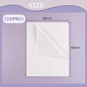 Lineco, Acid-Free Unbuffered Interleaving Tissue Paper for Storage, 30 x 40 Inches, Protect and Separate Prints, Documents, Letters, Newspaper (Pack of 12)