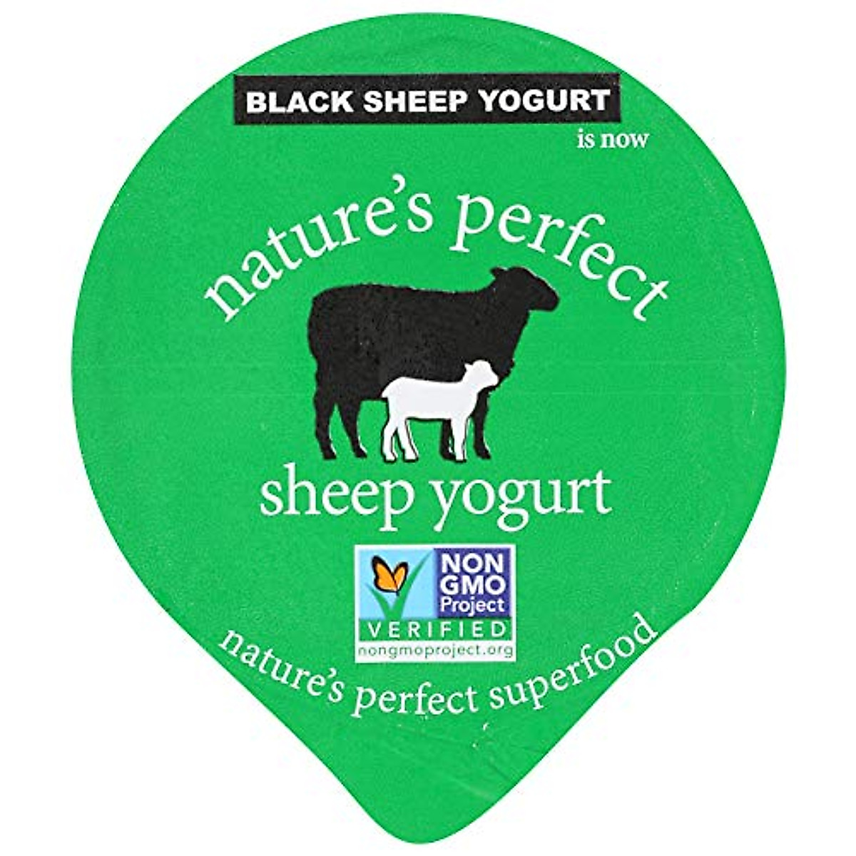 Old Chatham Sheepherding Company Sheep'S Milk Yogurt, Plain, 6 oz