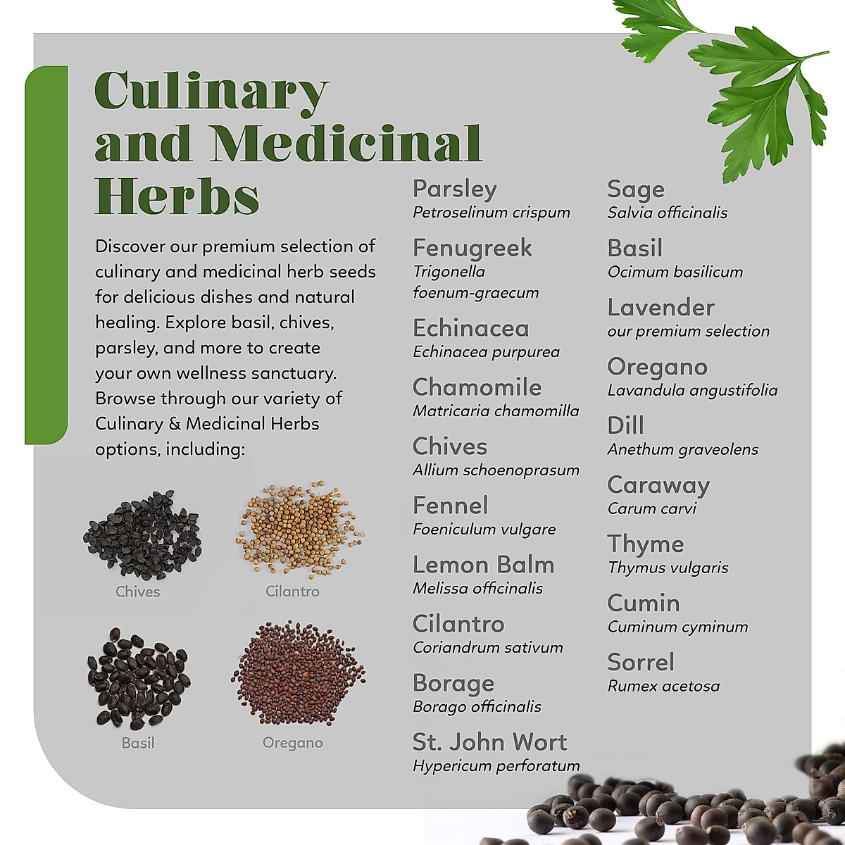 Ark Seed Kits: Organic Heirloom Seed Kit - 70+ Varieties, 50,000+ Seeds - Broccoli, Spaghetti Squash & More for Your Flourishing Haven