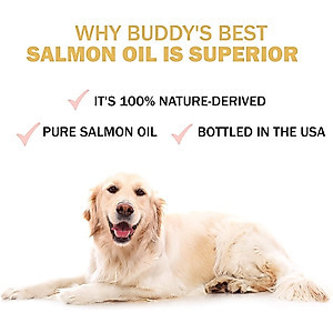 Buddy's Best Salmon Oil for Dogs 1 Gallon (128 Oz) Pump Bottle 100% Pure Norwegian Virtually Odorless Fish Oil