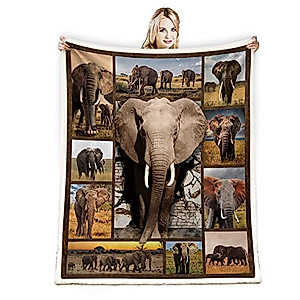 Juirnost Elephant Blanket Wild Elephant Gifts for Women Men Elephant Throw Blankets for Couch Bed Sofa Travelling Camping Elephant Decor Animal Lover Blanket Soft Plush Reversible Blanket 50" x60"