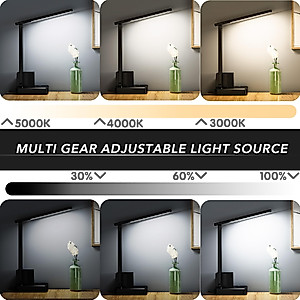 Desk Lamp,Desk Lamps for Home Office,COZOO LED Desk Lamp with 2 USB Charging Ports,2 Pen Holders,1 Outlet,3 Color 3 Brightness Levels,Touch/Memory/Timer,LED Desk Light Small Desk Lamp Kids Study Lamp