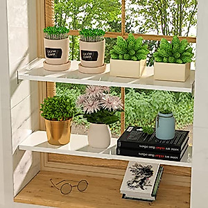 GNEOUS Greal Expandable Closet Shelf Storage Rack Adjustable Metal Organizer Divider Separator for Cabinet Wardrobe Cupboard Kitchen Bathroom, 7.87" Width