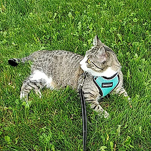 Cat Harness and Leash Set for Walking Escape Proof - Reflective Adjustable Cat Vest Harness for Small to Large Cat Puppy - Cute Mesh Breathable Soft Cat Full Body Harness