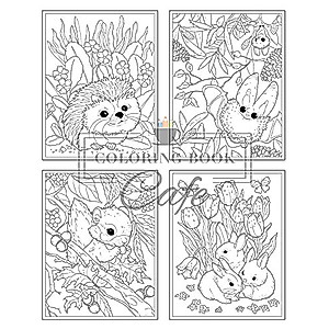 Baby Animals Coloring Book: An Adult Coloring Book Featuring Super Cute and Adorable Baby Woodland Animals for Stress Relief and Relaxation Vol. I