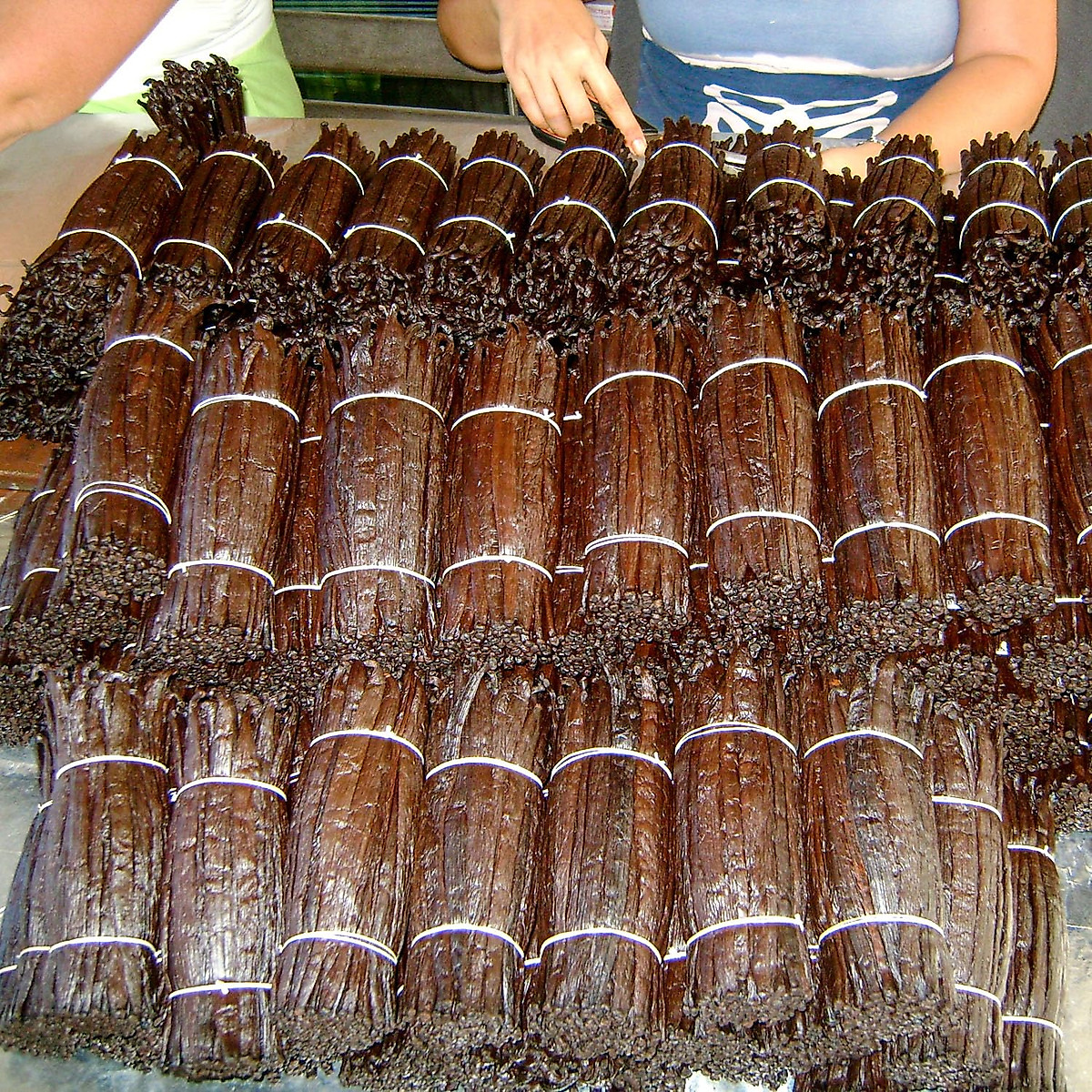 Tahitian Gold Grade A Vanilla Beans: 10 Organic Whole Vanilla Beans for Making Extract, Baking, & Cooking - Tahitian Vanilla Beans: Freshly-Cured, Gourmet Real Vanilla Pod in Durable, Kitchen-Safe Jar