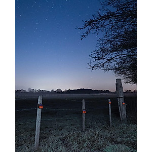 2024 Solar Nocturnal Animal Repeller, 4 Pack Cat Repellent Outdoor with Red LED Light, Waterproof Deer Deterrent Devices, Predator Lights for Chicken Coop Yard to Scare Away Cat Dog Deer Coyote Fox