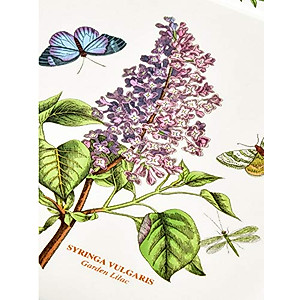 Portmeirion Botanic Garden 5-Piece Accent Bowl Set | 8 Inch Handled Plate with 3.75 Inch Square Bowls | Assorted Floral Motifs | Made from Porcelain | Microwave and Dishwasher Safe