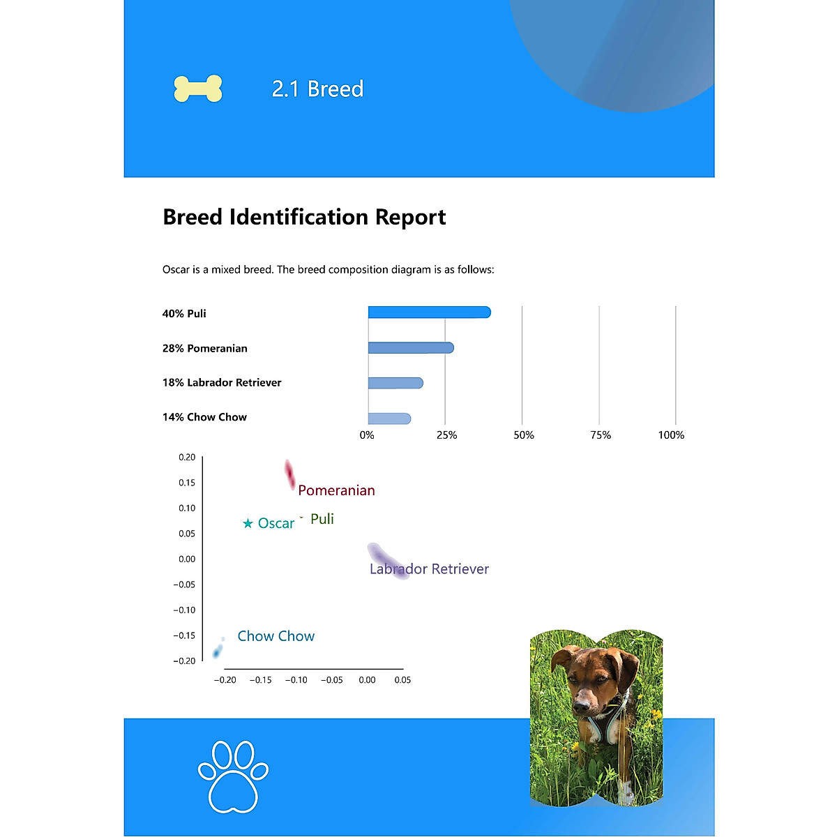 AffinityDNA PetGen - Dog Breed, Health, Behaviour & Trait Identification Test Kit | at-Home Sample Collection Cheek Swab Kit | Full Genetic Test for Dogs| Results in 4 Weeks | No Extra Fees