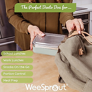 WeeSprout 18/8 Stainless Steel Bento Box (Compact Lunch Box) - 3 Compartment Metal Lunch Containers, for Kids & Adults, Bonus Dip Container, Fits in Lunch Bag & Backpack