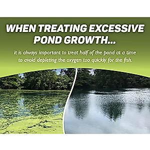 Crystal Plex - Lake and Pond Algaecide Treatment - Liquid Copper Algaecide Kills and Prevents Various Types of Algae (Planktonic, Filamentous, Chara) - 1 Gallon Treats up to 1 Acre