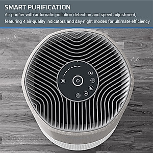 Rowenta Pure Air City Air Purifier 876 Square Foot Room Dust Pet Dander Smoke Mold Pollen Bacteria Virus Allergen, Odor Removal, for Home Office Nursery, HEPA Filter PU2840