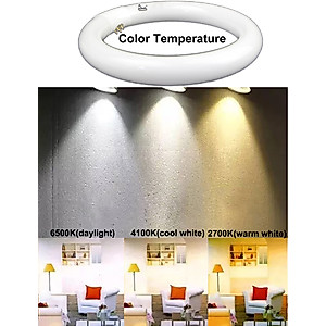 CHKADAWA FC8T9/CW Circular Fluorescent Light Bulb, 8 Inch Round T9 22W Circline Bulbs Replacement for Circle Ceiling Fixture, Cool White 4100K 1350 Lumens, G10q 4 Pin Base, 2 Pack