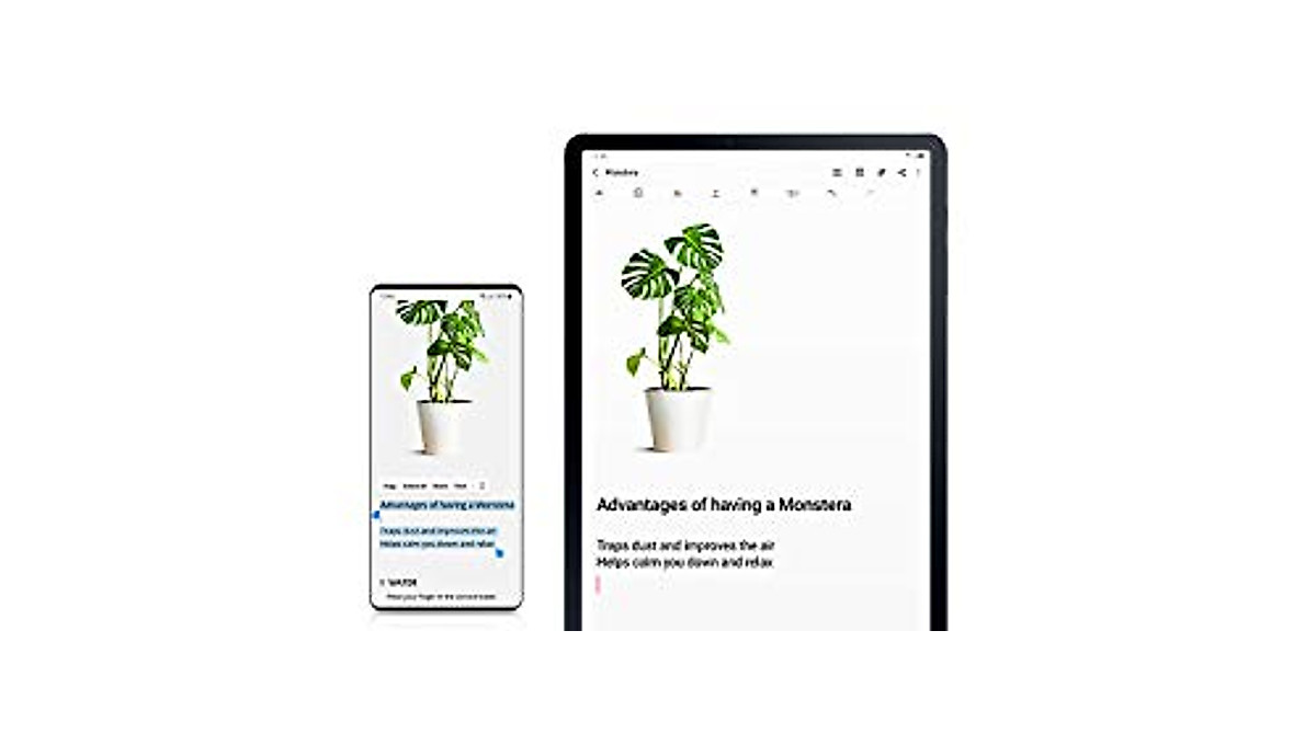 SAMSUNG Galaxy Tab S6 Lite 10.4" 64GB Android Tablet w/Long Lasting ...