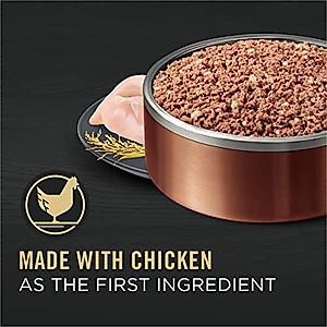 Purina Pro Plan High Protein Dog Food Wet Pate, Chicken and Rice Entree - (12) 13 oz. Cans