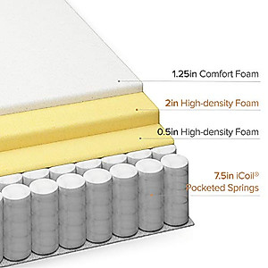 ZINUS 12 Inch Euro Top Pocket Spring Hybrid Mattress / Pressure Relief / Pocket Innersprings for Motion Isolation / Bed-in-a-Box, Queen