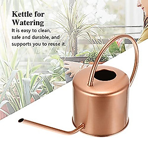 Watering can Spout Watering Pot Plant misting Water Bottle Kids Watering Spray Bottle Water Pitcher for Plants Kettle with Long Spout Child Outdoor Stainless Steel Succulent Plants