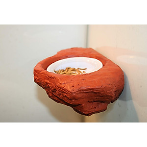 Magnaturals Small Worm Feeder Ledge Mojave Red - Magnetic Decor