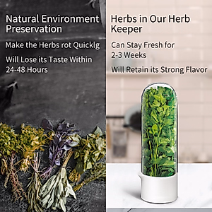 UEOZ Herb Keeper for Refrigerator, Herb Saver for Refrigerator, Cilantro Container, Vegetable Preservation Bottle for Cilantro, Mint, Parsley, Asparagus, Keeps Greens Fresh for 2-3 Weeks (2PCS)