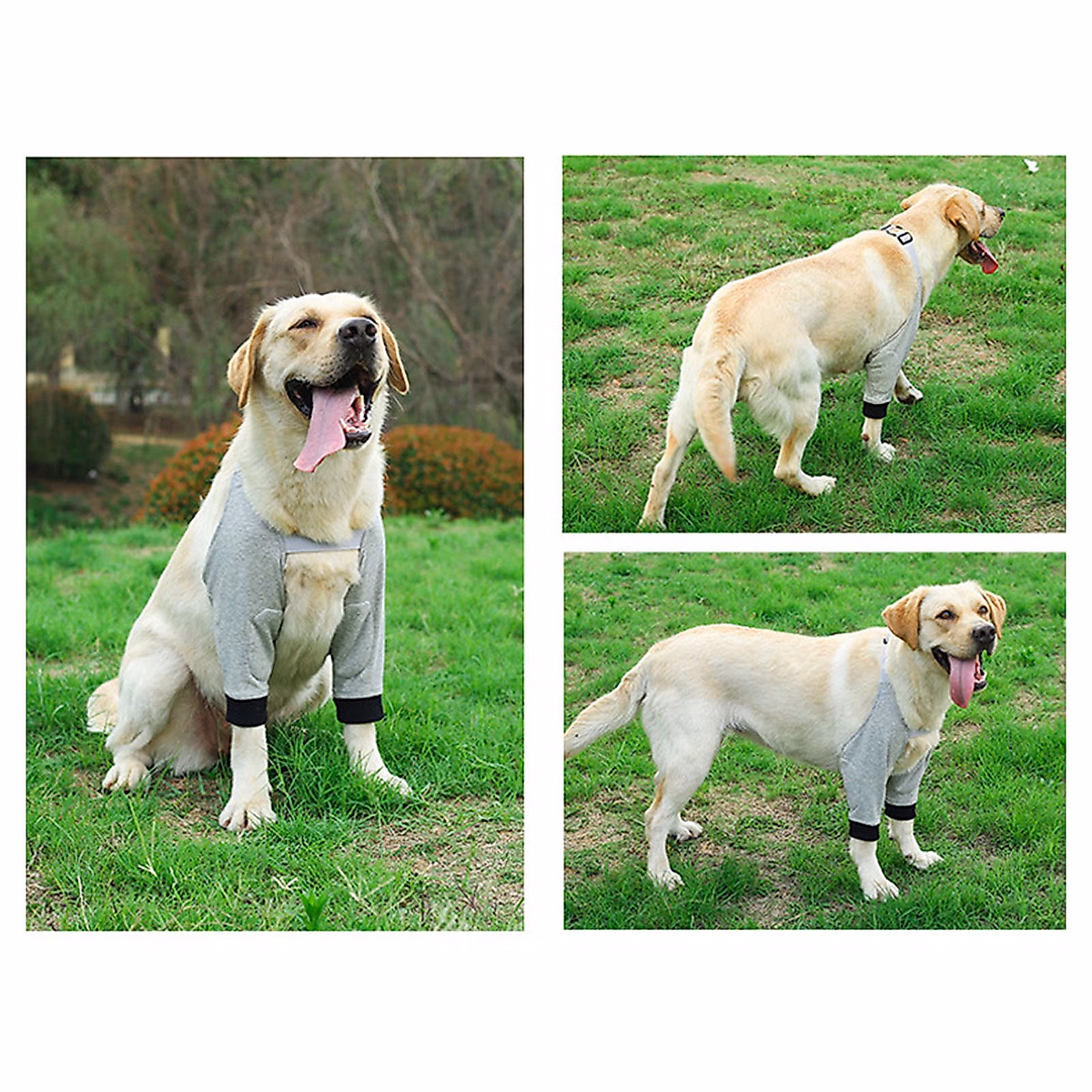 Dog Leg Joint Sleeve, Joint Warming Pet Recovery Sleeve Soft Padded Dog Elbow Protector for Small Medium Large Dogs (L)