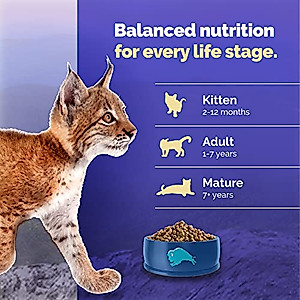 Blue Buffalo Cat Food for Kittens, Natural Chicken Recipe, High Protein, Dry Cat Food, 5 lb bag