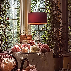 Avoseta Tissue Paper Pom Poms - Set of 20 - Sizes of 6", 8", 10", 14" - Party Decorations for Birthdays, Weddings and Special Occasions - Blush Pink, Coral Peach, Dusty Rose, Sienna Red, Cream