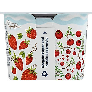 Icelandic Provisions, Strawberry and Lingonberry Thick and Creamy SKYR, 5.3 Ounce