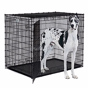 Midwest Homes for Pets SL54DD Ginormus Double Door Dog Crate for XXL for the Largest Dogs Breeds, Great Dane, Mastiff, St. Bernard, Black
