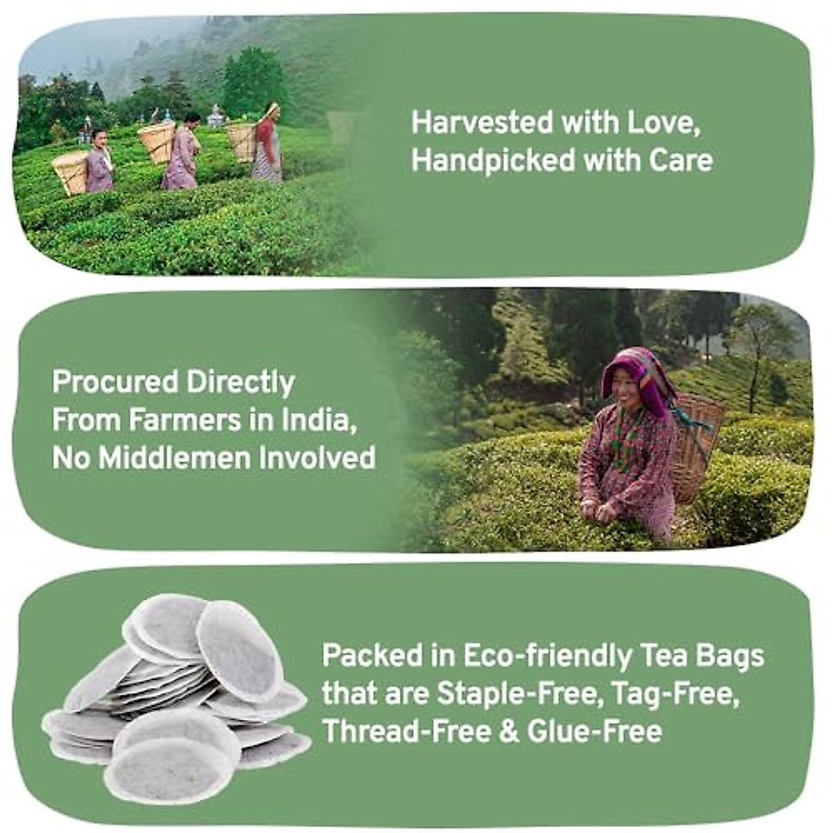 HANDPICK, Organic Green Tea Bags - 100 Tea Bags | Resealable Bag, Round & Eco-friendly Tea Bags | Direct From India