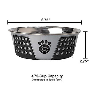 PetRageous 13098 Fiji Stainless Steel Non-Slip Dishwasher Safe Dog Bowl 3.75-Cup Capacity 6.75-inch Diameter 2.5-inch Tall for Medium and Large Dogs, Light Grey and Black