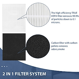 C545 Replacement HEPA Filters Compatible with Winix C545 Air Cleaner Purifier, Ture HEPA Filter S, Part number 1712-0096-00